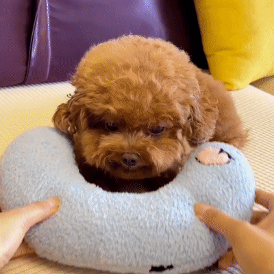 The Calming Pillow – Cutated